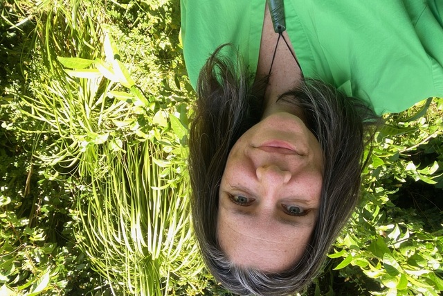 Report Writers | Cultural Reports NZ